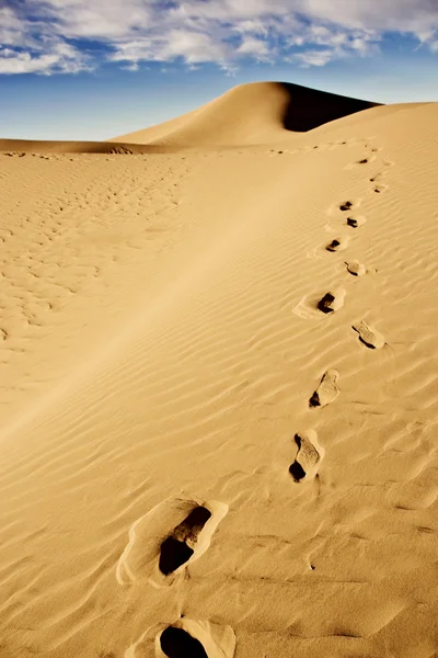 Footprints in the desert Stock Photos, Royalty Free Footprints in the ...