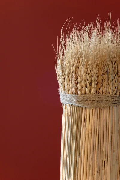 Sheaf of Wheat — Stock Photo © EyeMark #2602556