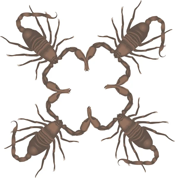 ᐈ Drawn scorpions stock drawings, Royalty Free scorpions pics ...